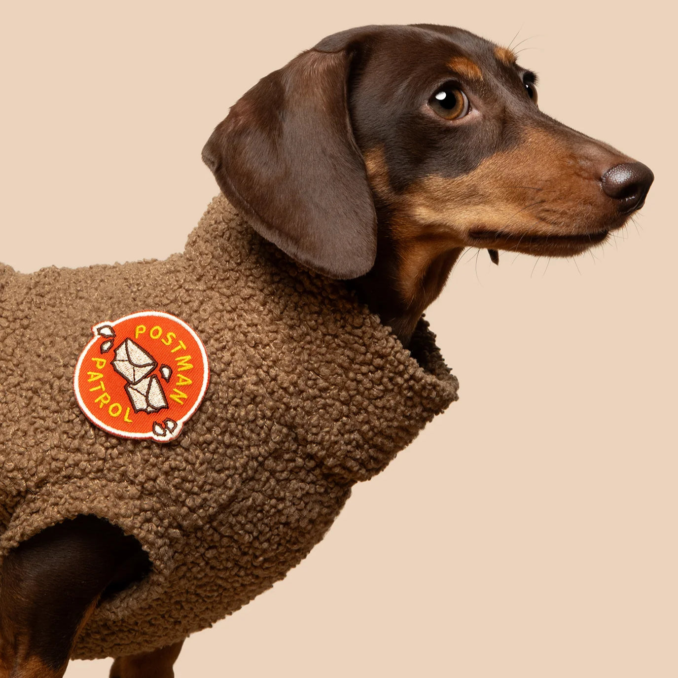 Scouts Honour Postman Patrol Iron-on Patch for Dogs - Radical Living